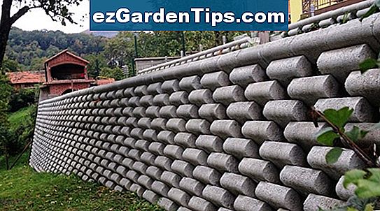Kako prikriti betonski potporni zid 🌱 Savjeti Vrtlari - Hr.ezGardenTips.com