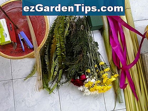Cara Menggunakan Oasis di Rangkaian Bunga 🌱 Tips Tukang Kebun - Id ...