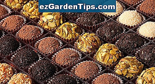 Diferentes tipos de nozes 🌱 Dicas Jardineiros - Pt.ezGardenTips.com